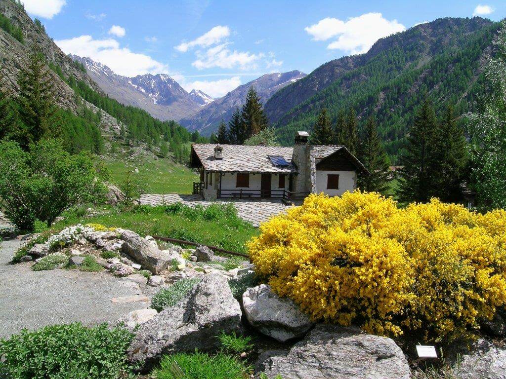 Paradisia: un piccolo paradiso terrestre a Cogne - Perle Alpine
